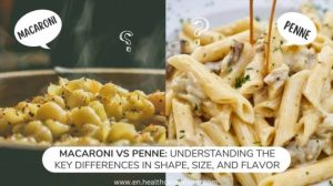 Macaroni Vs Penne: Understanding The Key Differences In Shape, Size ...